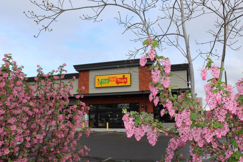 Top Ten Toys - April Blue Orange Store of the Month